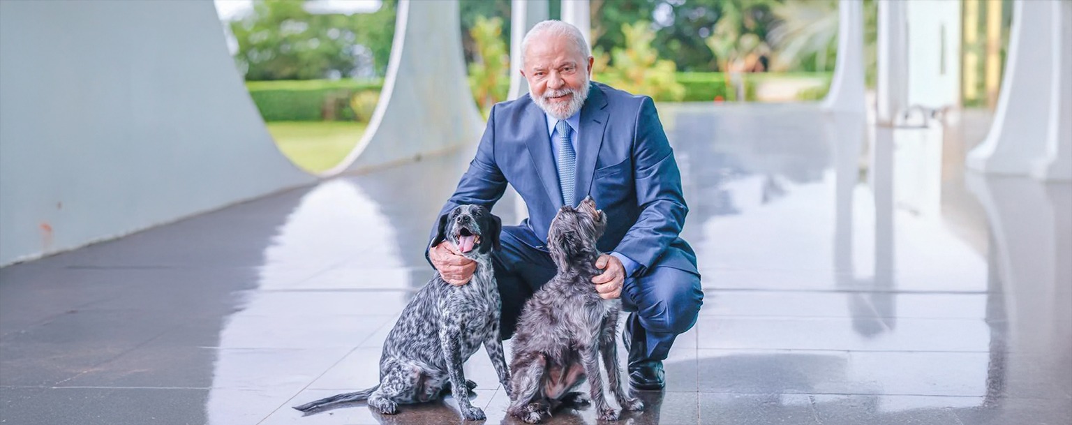 Lula cria identidade nacional para pets